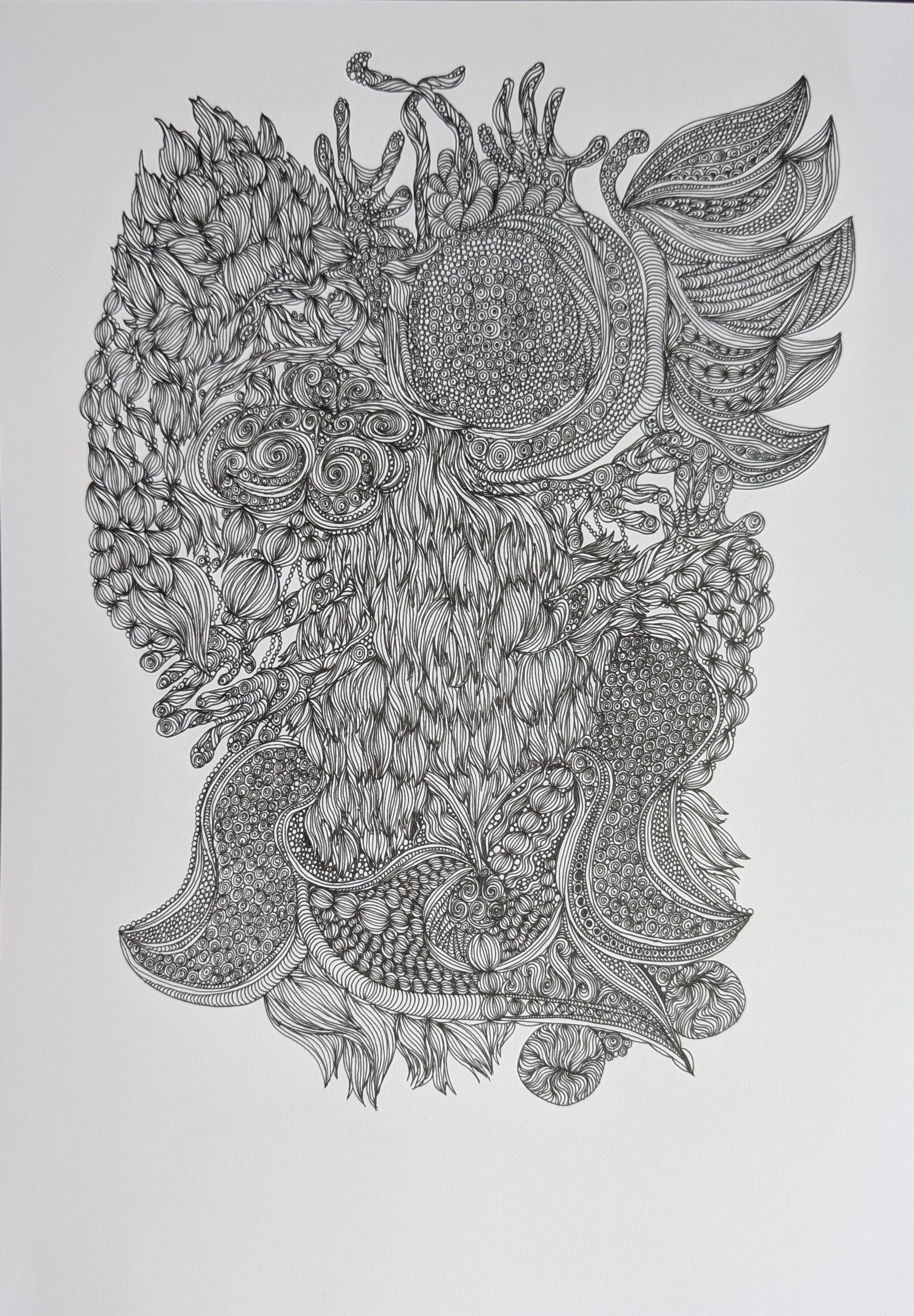 tonako Web個展 | My world of pen drowings私のペン画の世界 | tonako