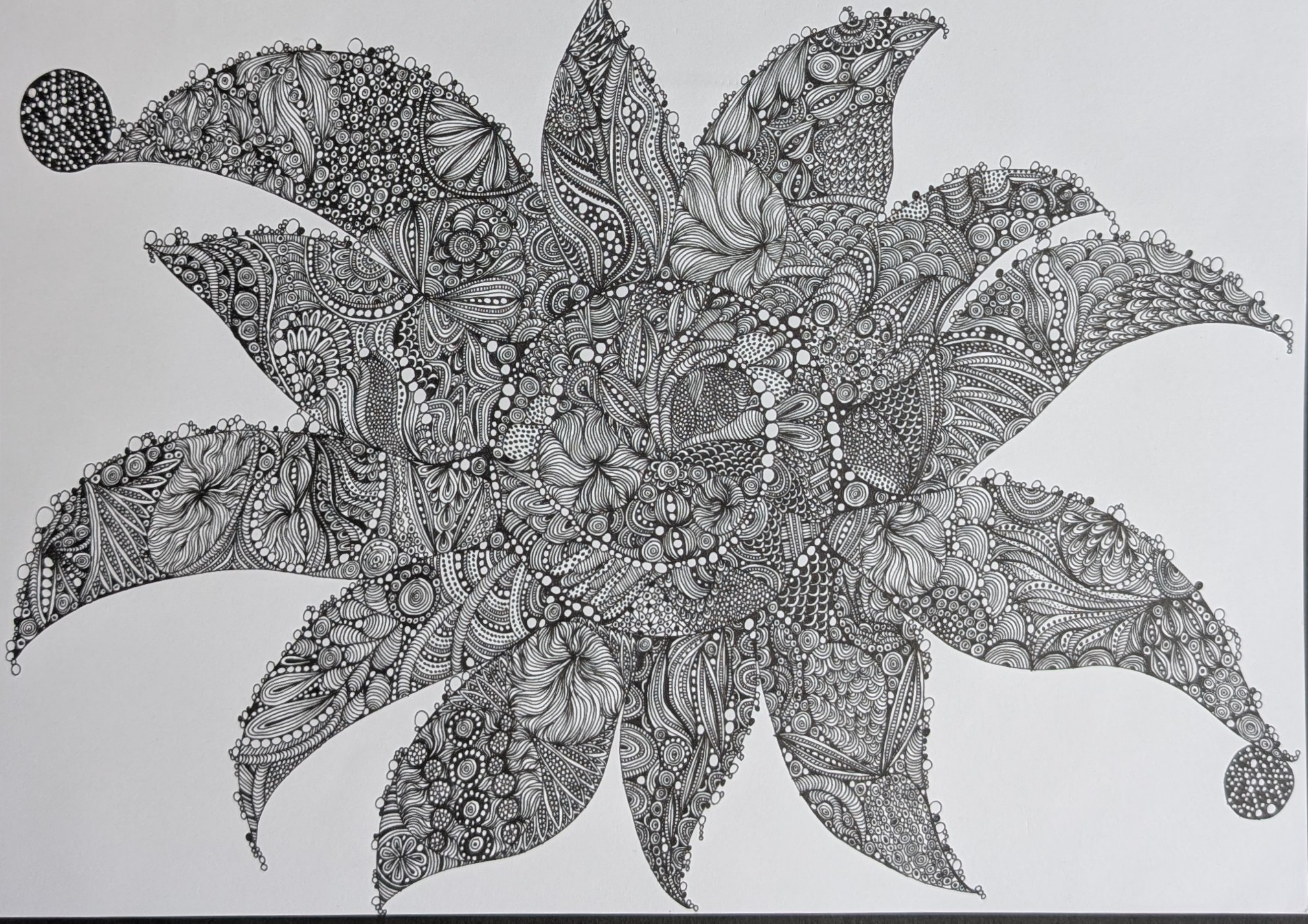 tonako Web個展 | My world of pen drowings私のペン画の世界 | tonako