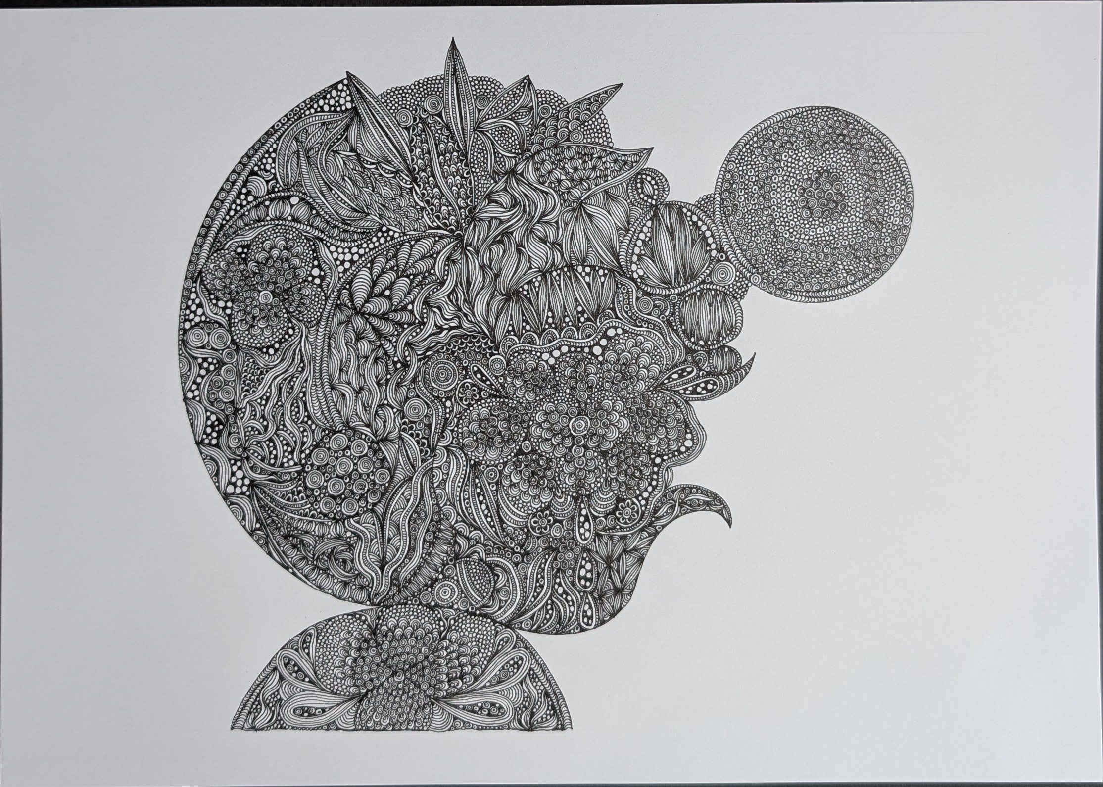 tonako Web個展 | My world of pen drowings私のペン画の世界 | tonako